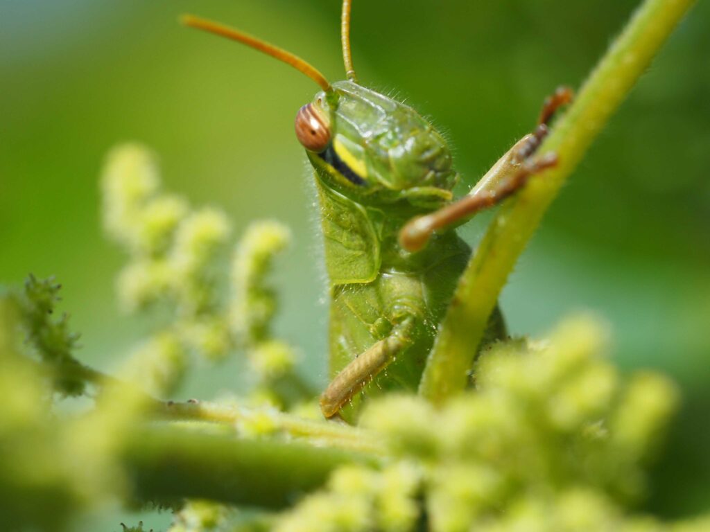 BLOG | 株式会社オープンハウス | Small, Local, Open, Connected デザインで社会を変える