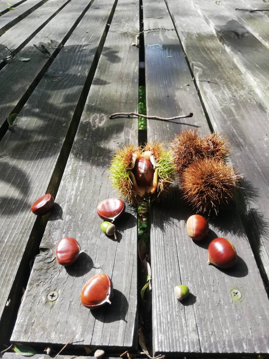 BLOG | 株式会社オープンハウス | Small, Local, Open, Connected デザインで社会を変える