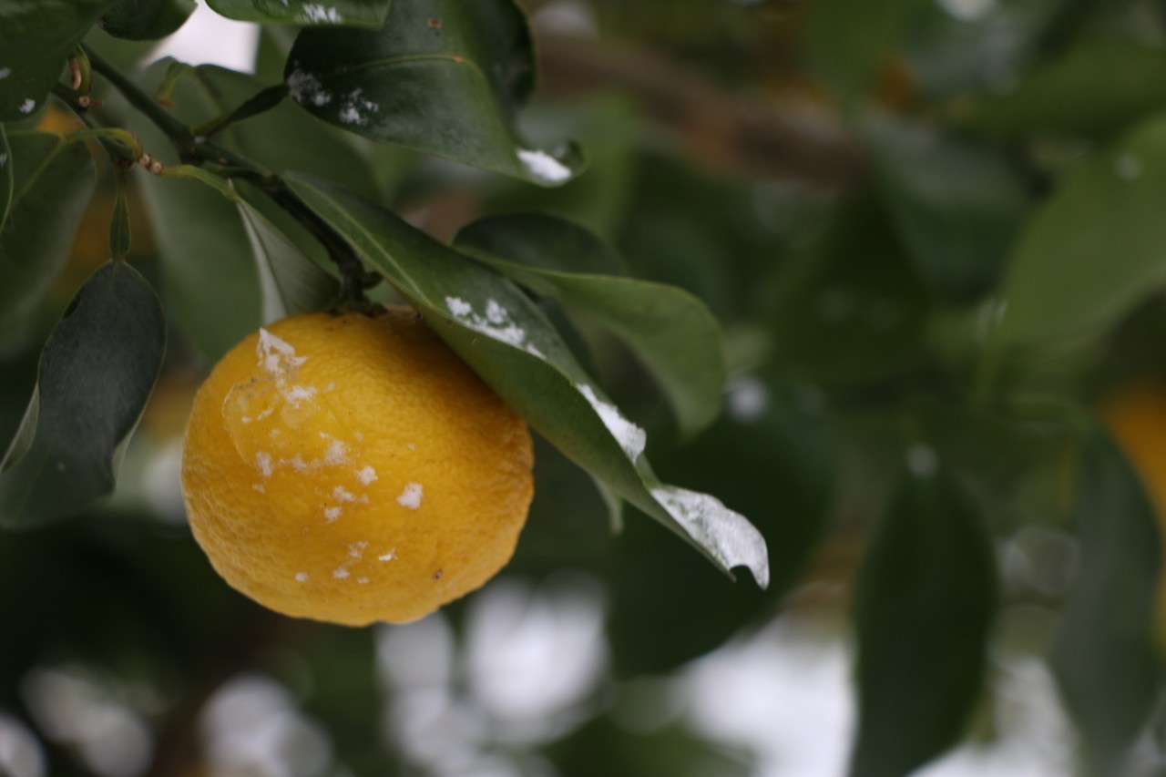 BLOG | 株式会社オープンハウス | Small, Local, Open, Connected デザインで社会を変える