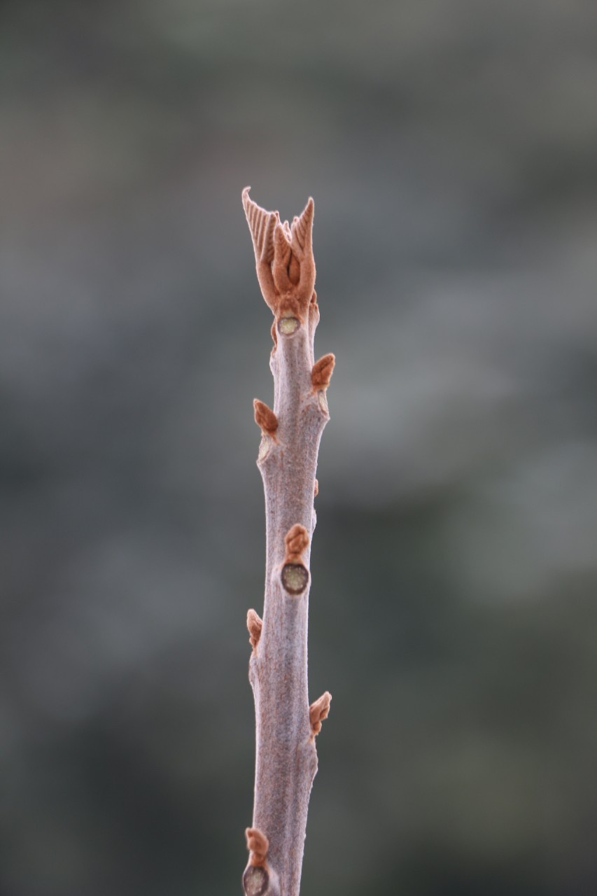 BLOG | 株式会社オープンハウス | Small, Local, Open, Connected デザインで社会を変える