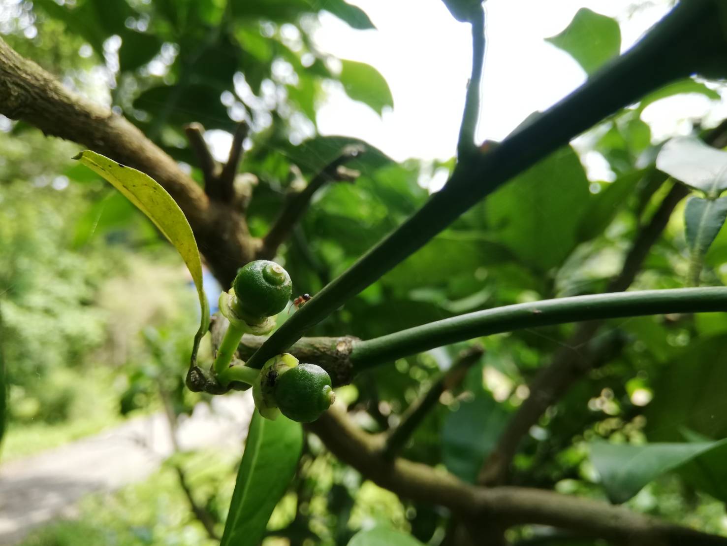 BLOG | 株式会社オープンハウス | Small, Local, Open, Connected デザインで社会を変える