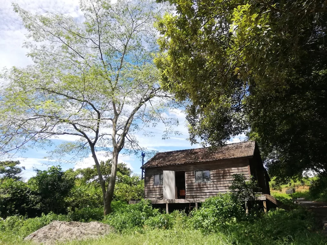 BLOG | 株式会社オープンハウス | Small, Local, Open, Connected デザインで社会を変える